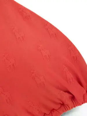 Polo Ralph Lauren Logo-jacquard Triangle Bikini Top