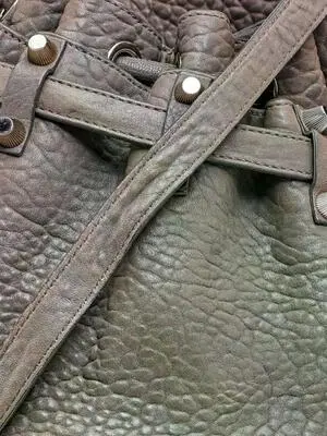 Alexander Wang Diego Calf Leather Bucket Bag