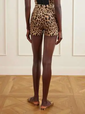 Dolce & Gabbana Leopard-print High-rise Cotton Shorts