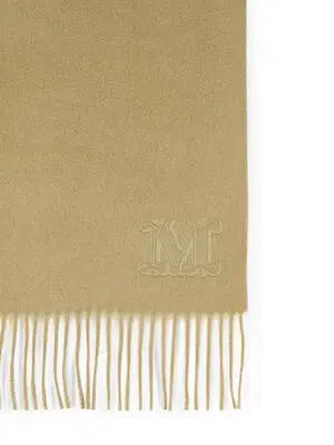Max Mara Cashmere Stole With Monogram Embroidery And Fringe - Green