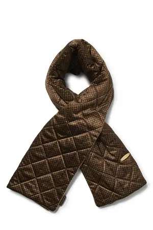 LOUIS VUITTON Monogram Pillow Muffler