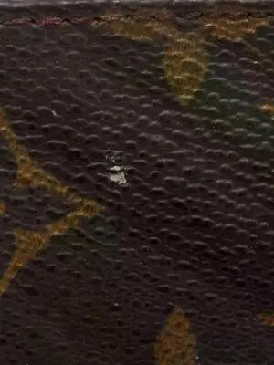 LOUIS VUITTON Pochette Accessoires Monogram Canvas Bag
