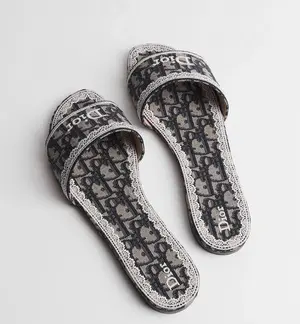Dior Dentelle Slide