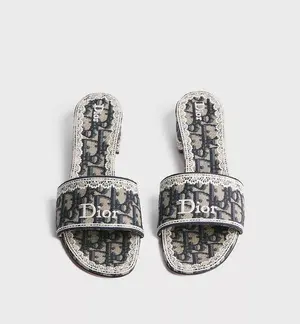 Dior Dentelle Heeled Slide