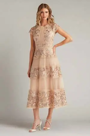 Tadashi Shoji Tamsin Embroidered Tulle Midi Dress - Pebble