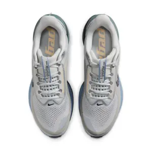 Nike Pegasus Premium Road Running Shoes