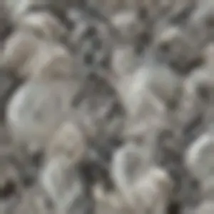 SOCIETY LIMONTA Alpaca Mastice Blanket