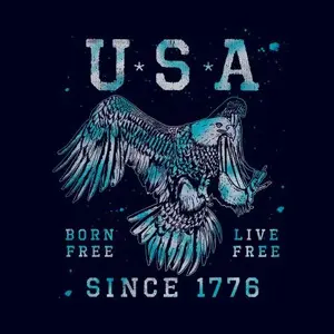 LOST GODS Usa Born And Live Free Short Sleeve Graphic T-shirt - Navy Blue