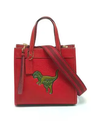 Tote Bag with Adjustable Shoulder Straps