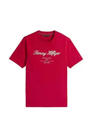 Tommy Hilfiger Crewneck T-shirts For Men