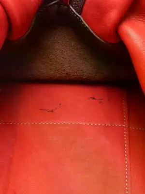 Loewe Amazona Handbag - Red