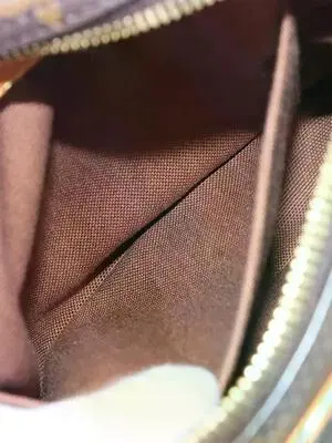 LOUIS VUITTON Monogram Danube Satchel