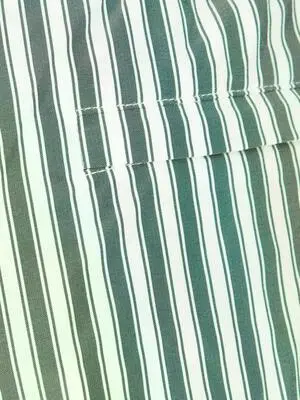Zegna Striped Drawstring Swim Shorts