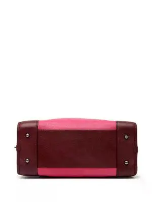 Loewe Tricolor Goatskin Amazona 28 Handbag - Pink