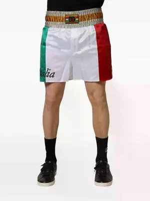 Dolce & Gabbana Italia Logo Embroidered Shorts