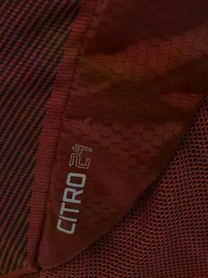 GREGORY Citro 24 Logo-print Backpack