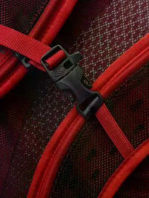 GREGORY Miko 20 Backpack - Red