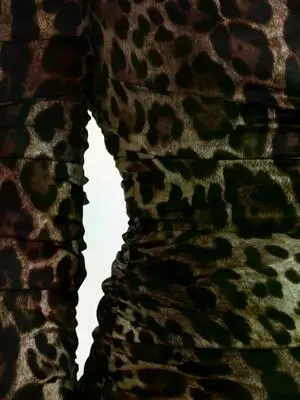 Dolce & Gabbana Leopard-print Charmeuse Midi Dress