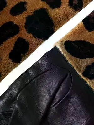 Dolce & Gabbana Leopard-print Panelled Elbow-length Gloves