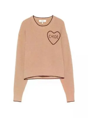 Chloe Embroidered Sweaters For Women
