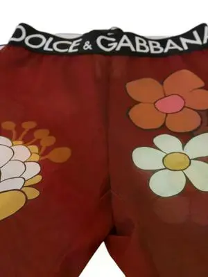 Dolce & Gabbana Floral-print Mesh Leggings