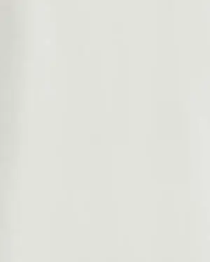 Loro Piana Cotton T-shirt Mae