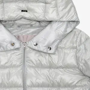 Herno Long-sleeved Padded Jacket With Hood