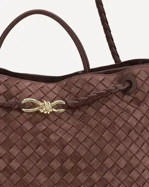 Bottega Veneta Large Andiamo Handbag