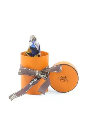 Hermès Danse Pacifique Twilly Feather-print Scarf