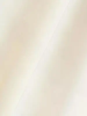 Brunello Cucinelli A-line Midi Skirt