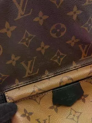 LOUIS VUITTON 2020 Monogram Reverse Palm Springs Pm Backpack - Brown