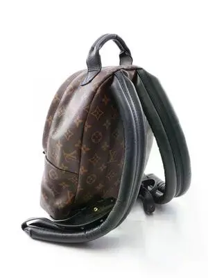 LOUIS VUITTON Monogram Palm Springs Pm Backpack - Brown
