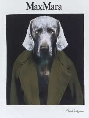 Max Mara Printed Cotton T-shirt