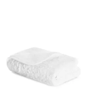 GRACCIOZA Egyptian Cotton Portobello Hand Towel