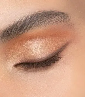 Dior Show 5 Couleurs Eyeshadow Palette
