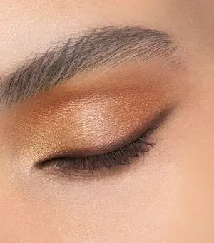 Dior Show 5 Couleurs Eyeshadow Palette