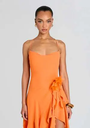 Retrofete Samara Silk Chiffon Dress - Arianzo
