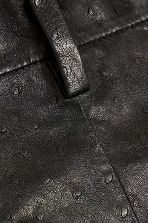 FRAME The Slim Ostricheffect Leather Wideleg Pants