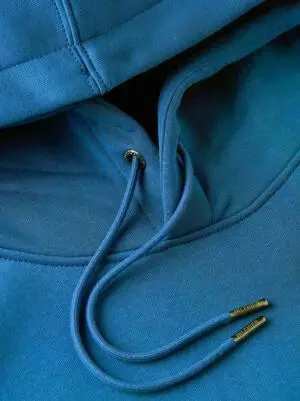 Tommy Hilfiger Logo Print Hoodie