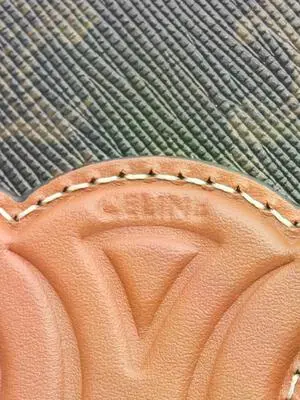 Celine 2000-2026 Triomphe Coated Canvas Satchel