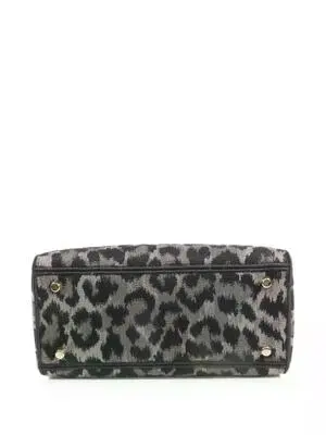 Dior Lady D-lite Tote Bag