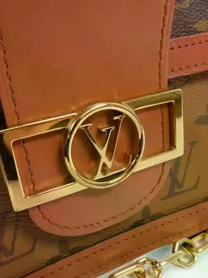 LOUIS VUITTON Dauphine Mm Monogram Reverse Shoulder Bag