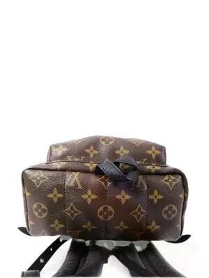 LOUIS VUITTON Palm Springs Monogram Backpack - Brown