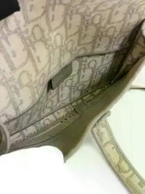 Dior Saddle Oblique Cross Body Bag