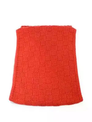 LOUIS VUITTON Knit Scarf