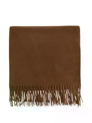 Max Mara Fringed Cashmere Scarf - Brown