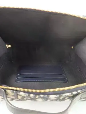 Dior 30 Montaigne Oblique Camera Bag