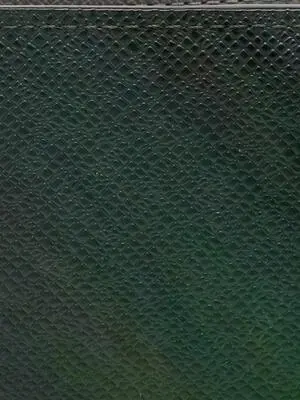 LOUIS VUITTON 2000 Taiga Pocket Organizer Wallet