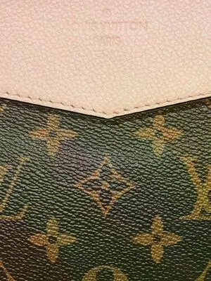 LOUIS VUITTON Daily Monogram Clutch Bag