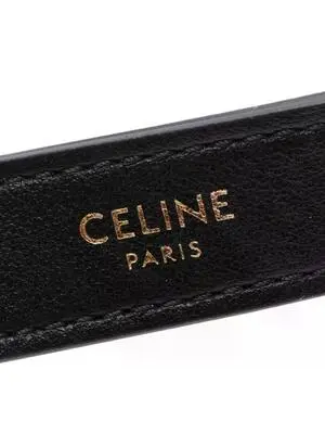 Celine 2000-2026 Medium Calfskin Triomphe Ava Shoulder Bag